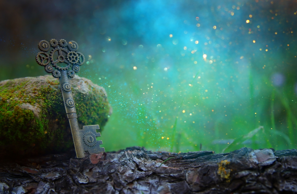 The Secret Lives of Advisors - Articles - Advisor Perspectives