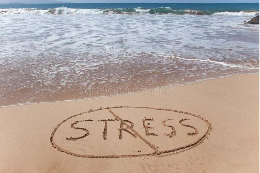 The Freedom of a Stress-Free Life - Articles - Advisor Perspectives