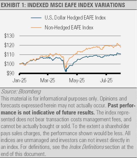 To Hedge or Not to Hedge: Navigating Currency Risk in International ...